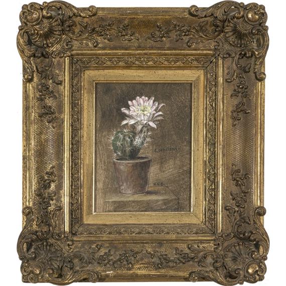 Hans Huber-Sulzemoos | Blühender Kaktus | MutualArt