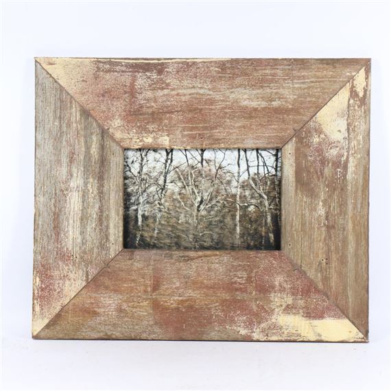 Troy Burt | forest landscape | MutualArt