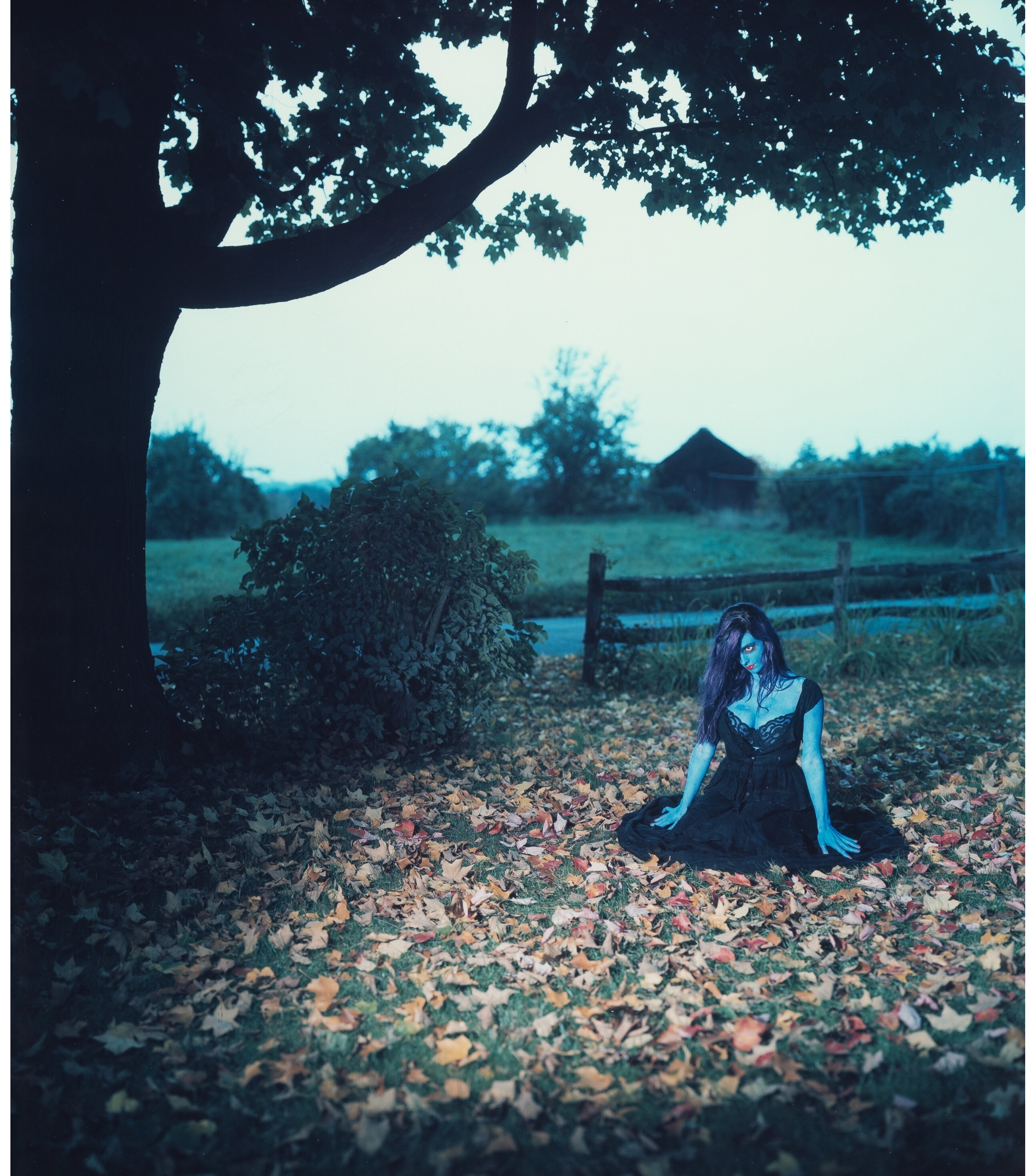 Tim Burton | Girl Under Tree (1994) | MutualArt