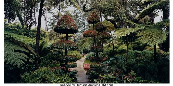 John Pfahl | Fern Garden, Lotusland, Montecito, California, March (2000 ...