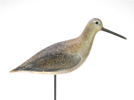 John Dilley | Outstanding and very rare willet | MutualArt