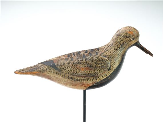 Obediah Verity | Classic black bellied plover with deep relief wing ...