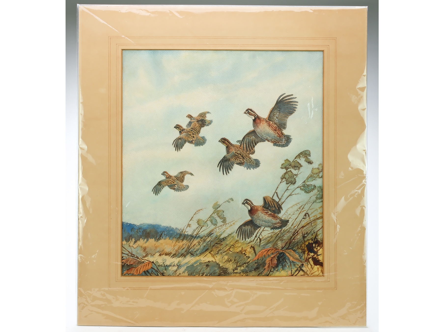 William Joseph Schaldach | Bobwhite quail flushing | MutualArt