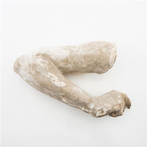 Nils Möllerberg | Nils Möllerberg, Model part of an arm | MutualArt