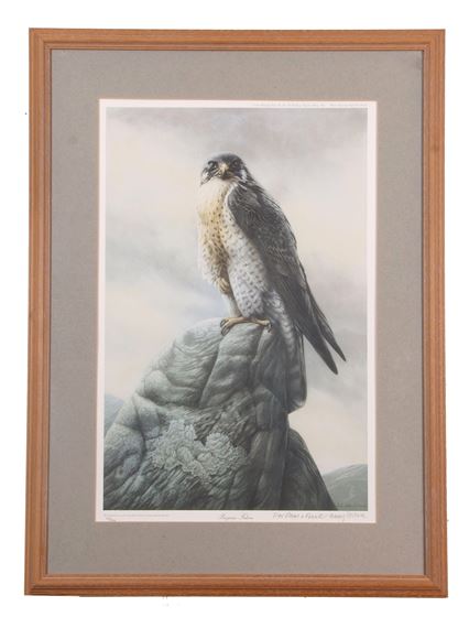Barry L. Driscoll | 'Peregrine Falcon' | MutualArt