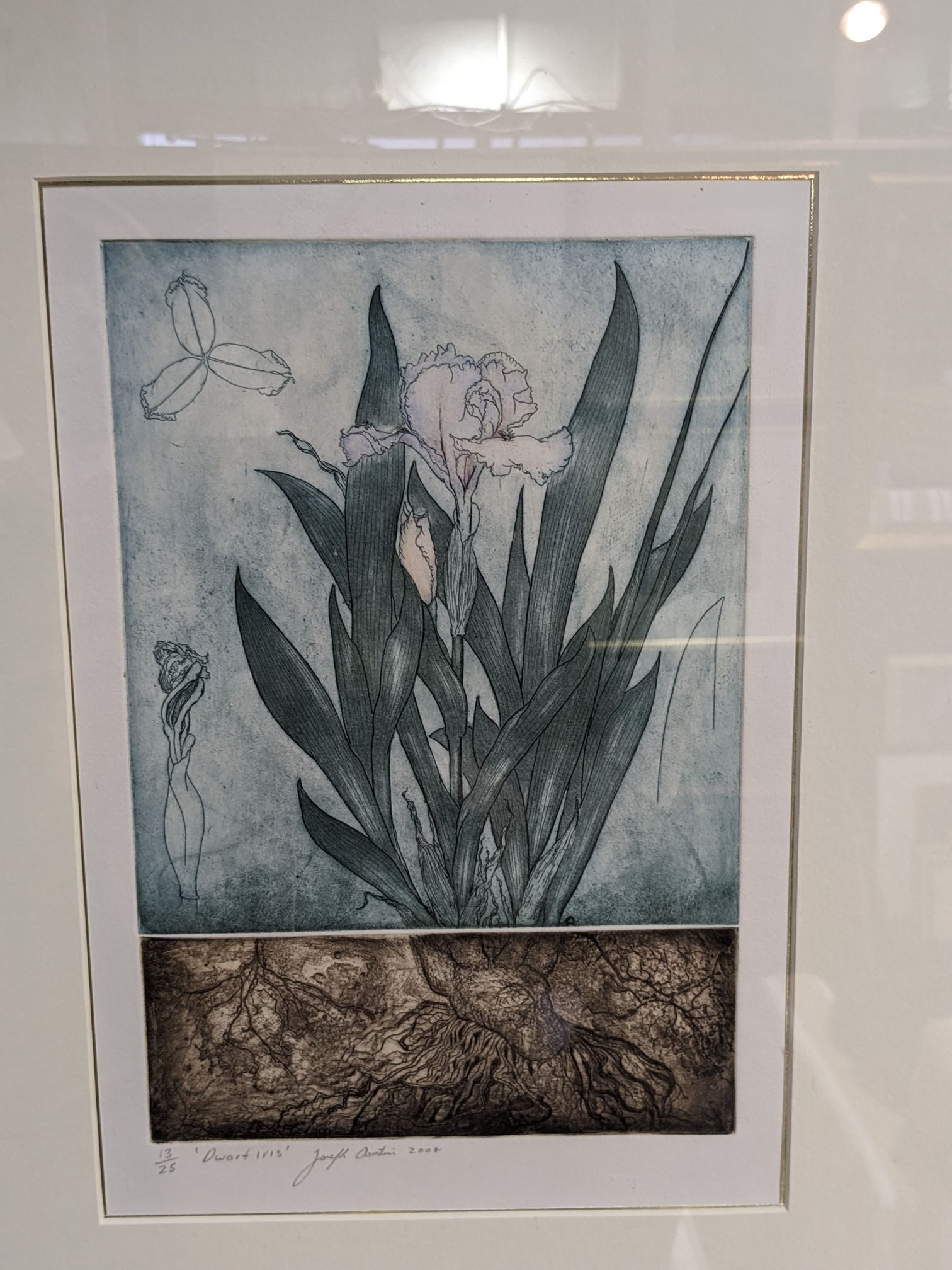 Joseph Austin | Dwarf Iris | MutualArt