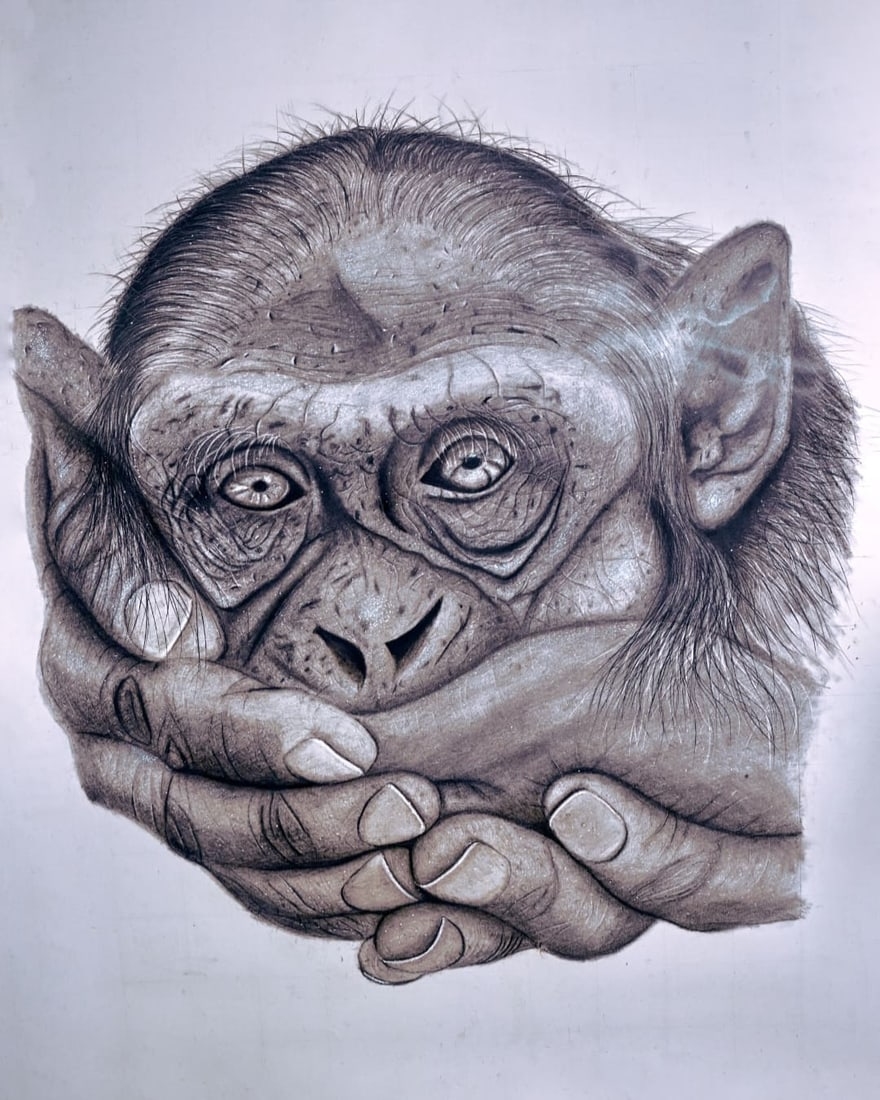 Emeka Nwauzor | Secured (2023) | MutualArt