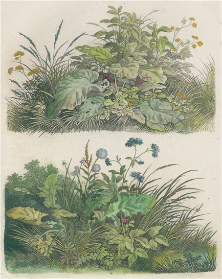 Adrian Zingg | Zingg, Adrian | MutualArt