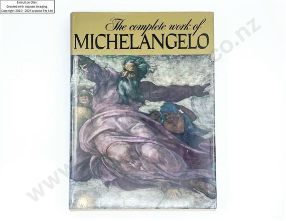 Michelangelo | The Compete Work of Michelangelo | MutualArt