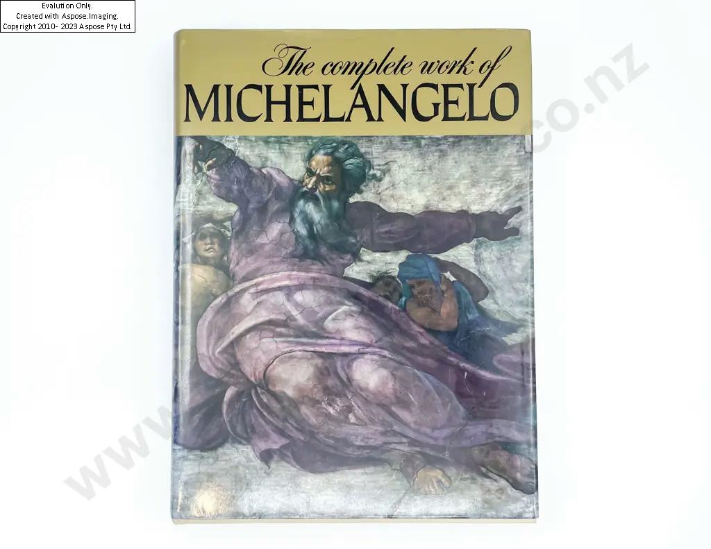 Michelangelo | The Compete Work of Michelangelo | MutualArt