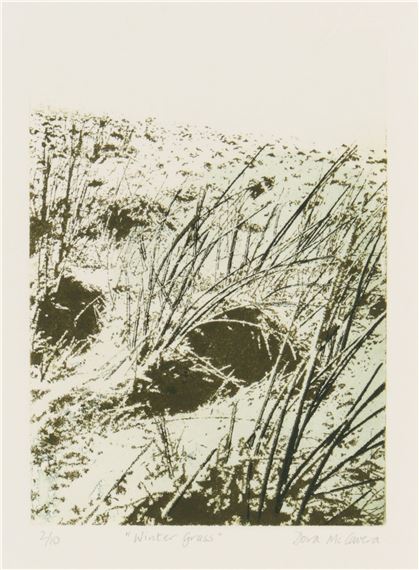 Dora McCavera | WINTER GRASS | MutualArt