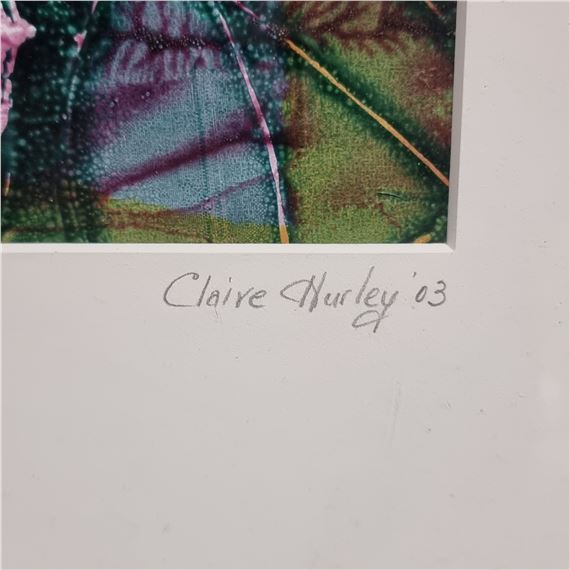 Tom Offord | Claire Hurley (2003) | MutualArt