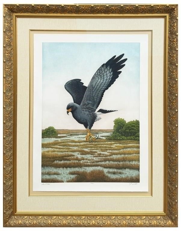 John Costin | JOHN COSTIN ETCHING SNAIL KITE | MutualArt