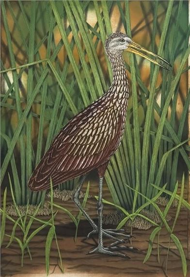 John Costin | JOHN COSTIN ETCHING LUMPKIN | MutualArt