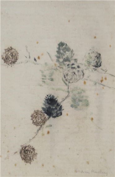 Graham Murray | BRANCH WITH CONES | MutualArt