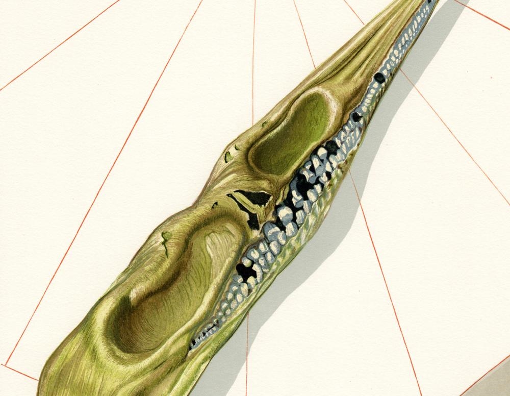 Étienne Adolphe Piot | Etienne Adolphe Piot 1800s Antique Print The ...