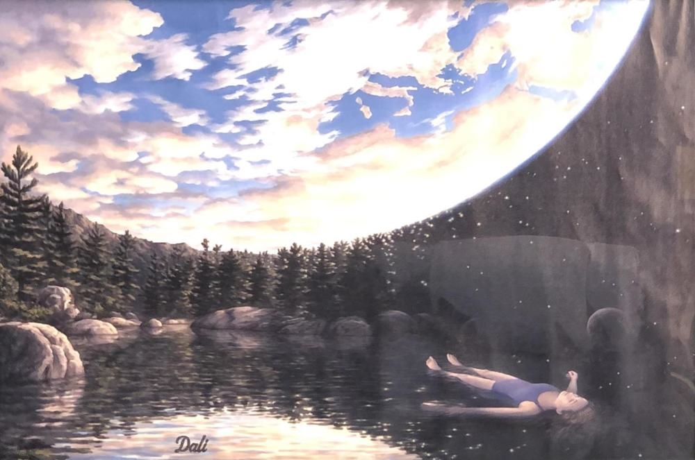 Salvador Dalí | The Phenomenon Of Floating | MutualArt