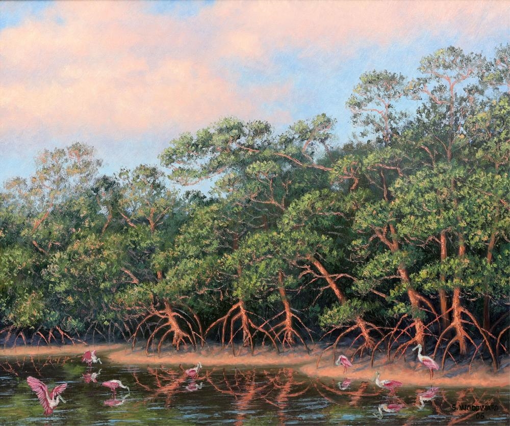 Albert Ernest Backus | SCOTT WOODWARD FLORIDA ARTIST MANGROVE ...