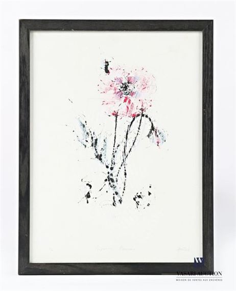 Florence Joutel | Herbarium - Papavera rhoeas (2012) | MutualArt