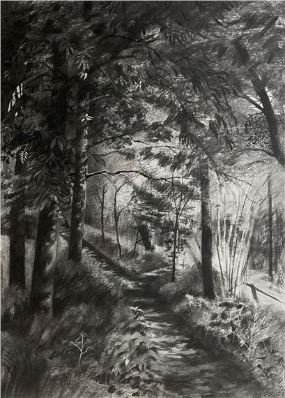 Andy Hawkins | Shaded Woodland Path | MutualArt