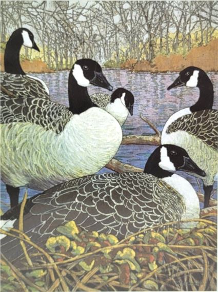 Jennifer Bellinger | Geese Gathering | MutualArt