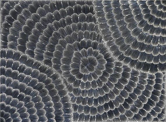 Joy Jones Kngwarreye | UNTITLED | MutualArt