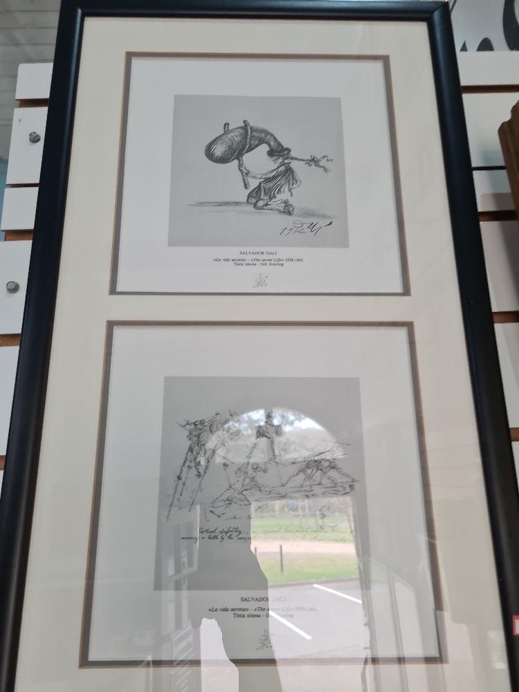 Salvador Dalí | Two framed pictures of Salvador Dali prints, modern ...