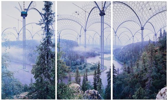 Ilkka Halso | Kitka River (From series Museum of Nature (2004) | MutualArt