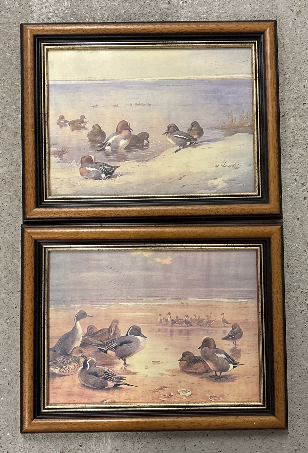 Archibald Thorburn | A pair of Archibald Thorburn prints of ducks, from ...