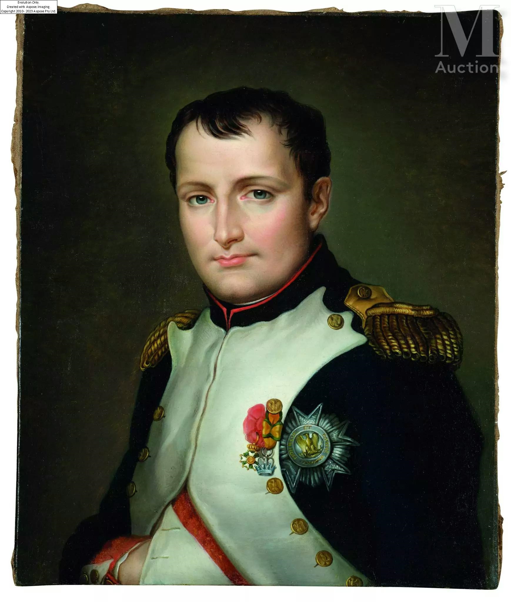 Jacques-Louis David | Napoléon Ier en uniforme de colonel des ...