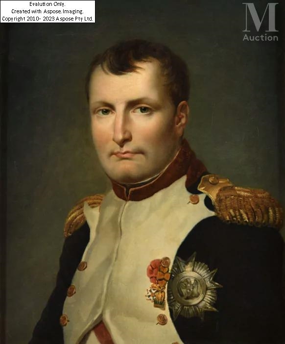 Jacques-Louis David | Napoléon Ier en uniforme de colonel des ...