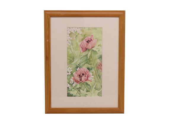Sheila Welch | Sheila Welch: Poppies and Stephanolis, still life ...