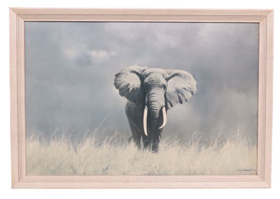 David Shepherd | Wise Old Elephant | MutualArt