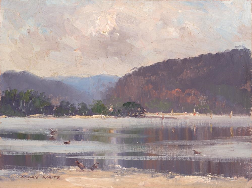 Allan Waite | Ducks ar Pipeclay Point | MutualArt