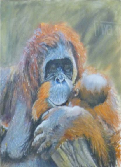 James Lishman | Orangutan and Baby | MutualArt
