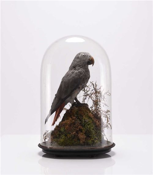 Edward Gerrard | 1 Artworks at Auction | MutualArt