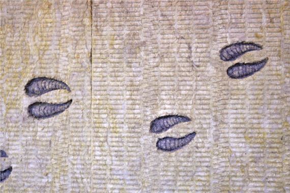 Kaja Lahoda | Artist Overview | MutualArt