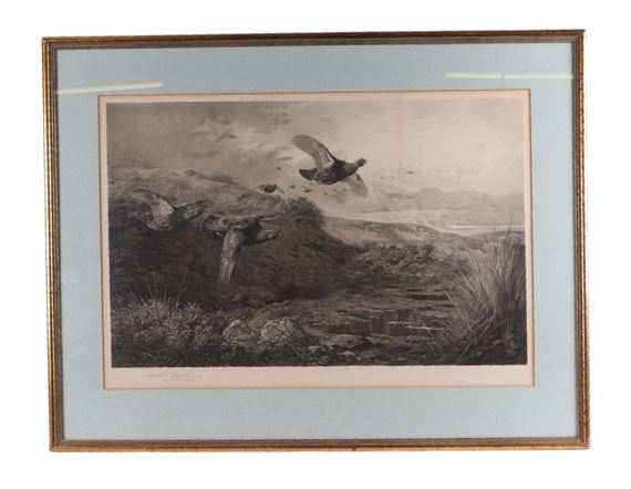 Archibald Thorburn | Grouse Flush in Full Flight | MutualArt