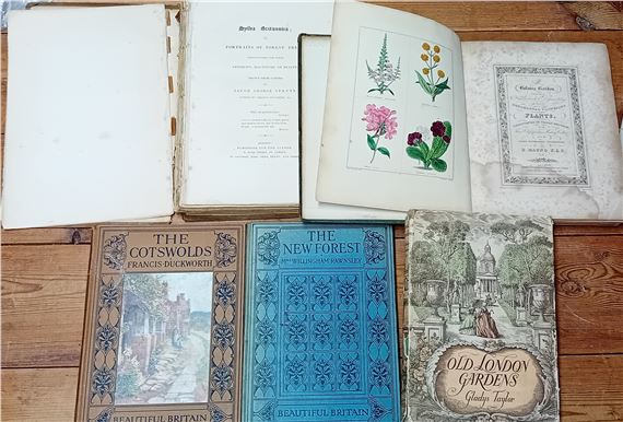 Ng Hui Lan | 2 Artworks | MutualArt