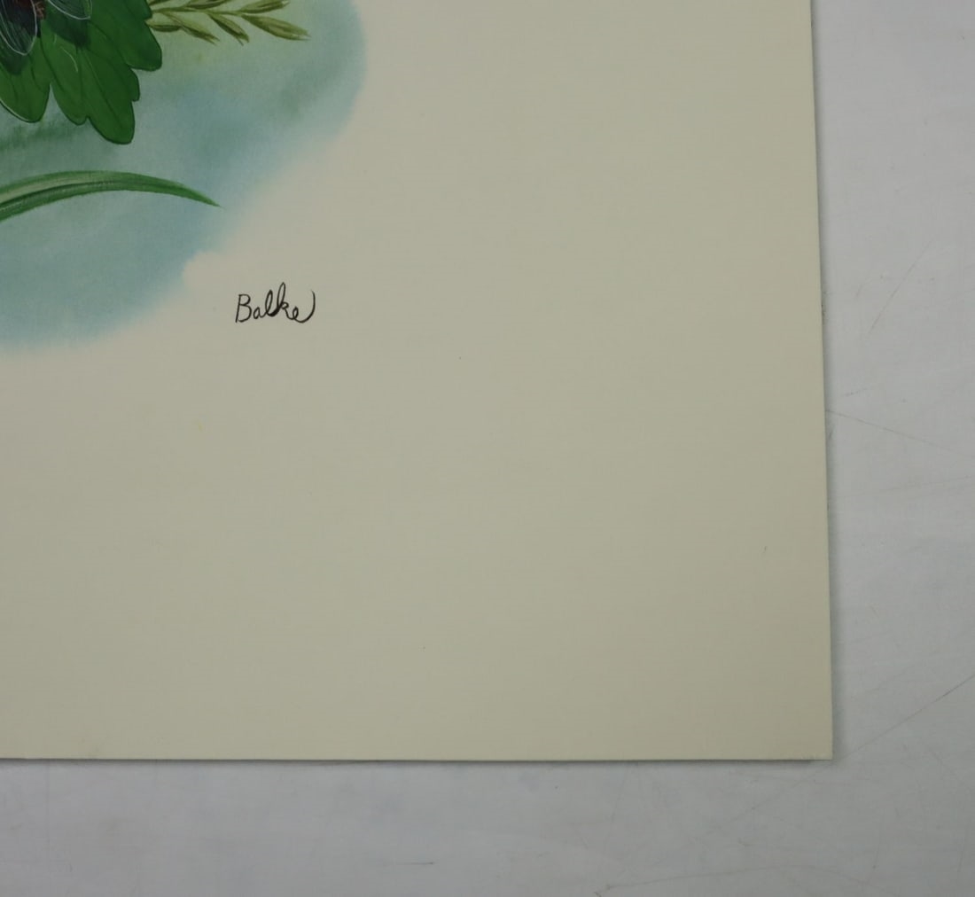 Don Balke | Ladybug (1986) | MutualArt