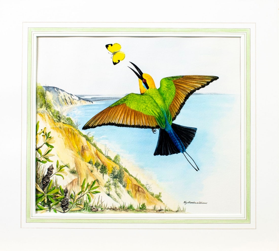 Kay Breeden Williams | Rainbow Bee Eater Bird | MutualArt