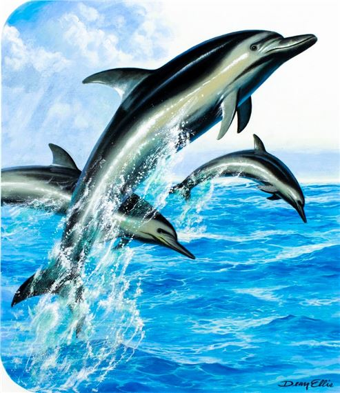 Dean Ellis | Dolphins (1990) | MutualArt