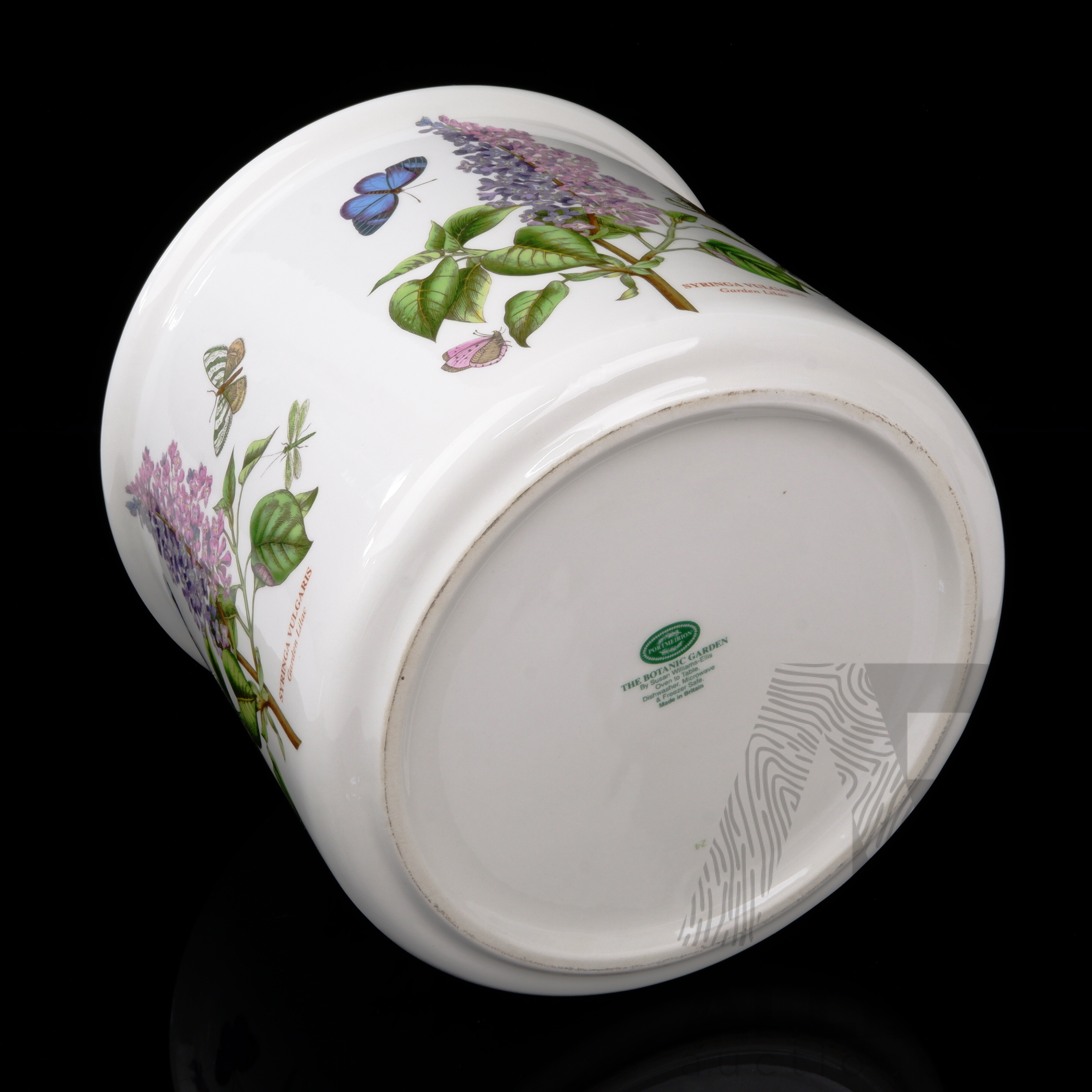 Susan Pennewell Ellis | Large Portmeirion Jardiniere in Botanic Garden ...