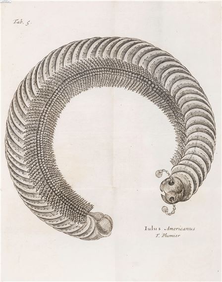 Jacob | A Journey to Paris in the Year 1698 (1698) | MutualArt