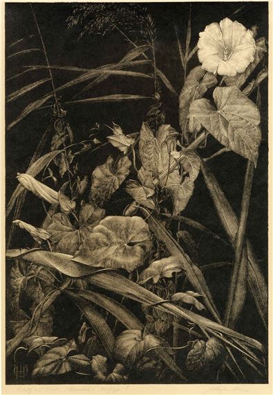 Wilhelm Heise | Schilf und winde (Canne e convolvolo (1925) | MutualArt