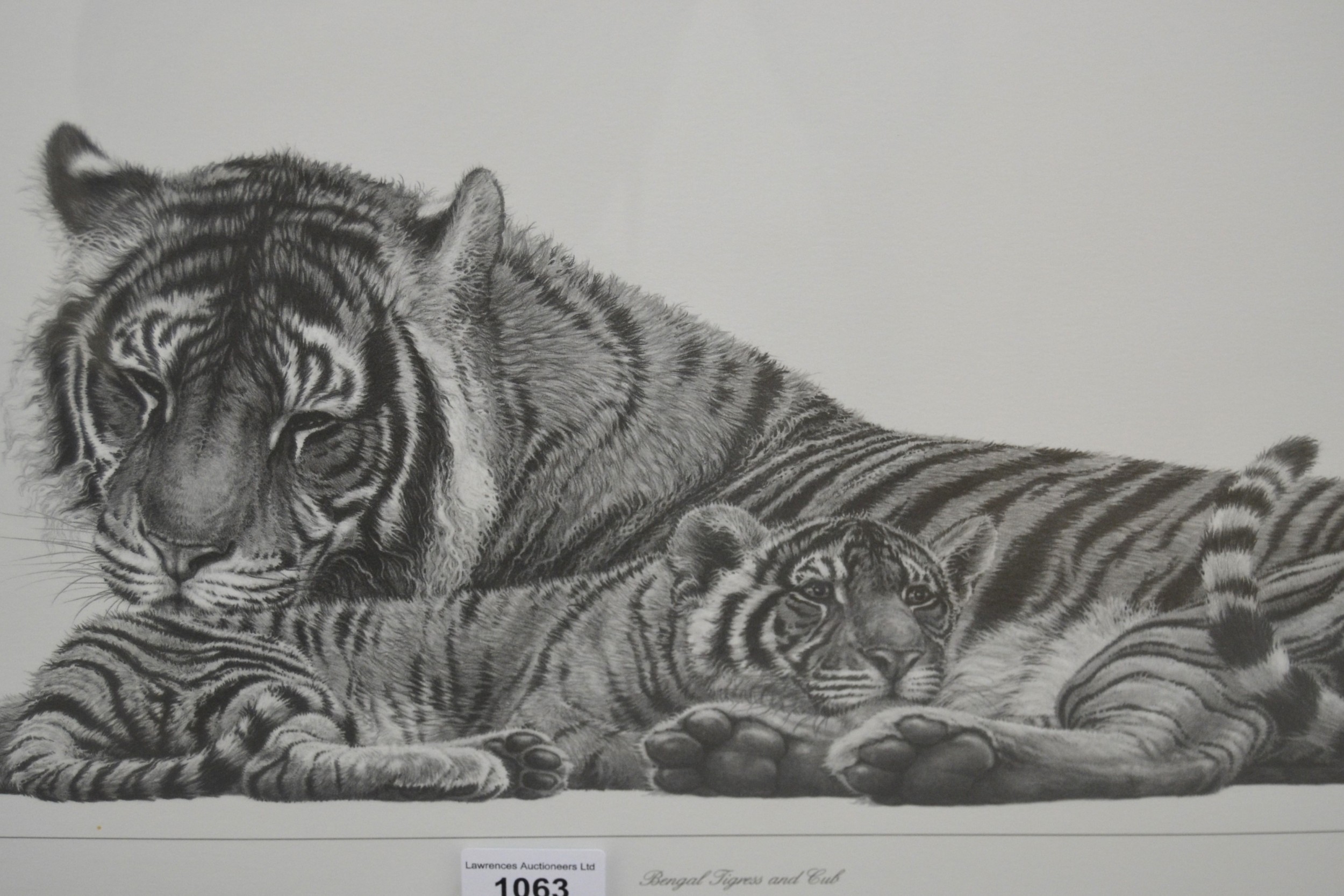 Gary Hodges | signed black and white print ' Bengal Tigress and Cub ...