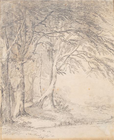 Richard Cooper | New Forest Landscape | MutualArt