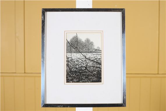 Trevor Geoghegan | TREVOR GEOGHEGAN Study for Ground Forest (81 ...