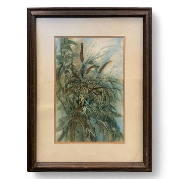L. Miller | L. Miller Print Of Ferns | MutualArt