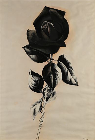 Giacomo Porzano | Rosa Nera | MutualArt